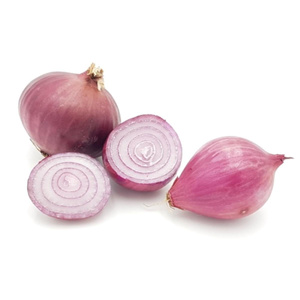 Zwiebel rot - Die rollende Gemüsekiste